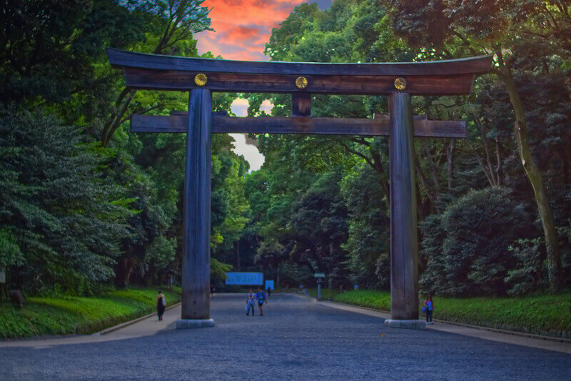 Opportunities for Filipino Workers in Japan | John Clements Consultants